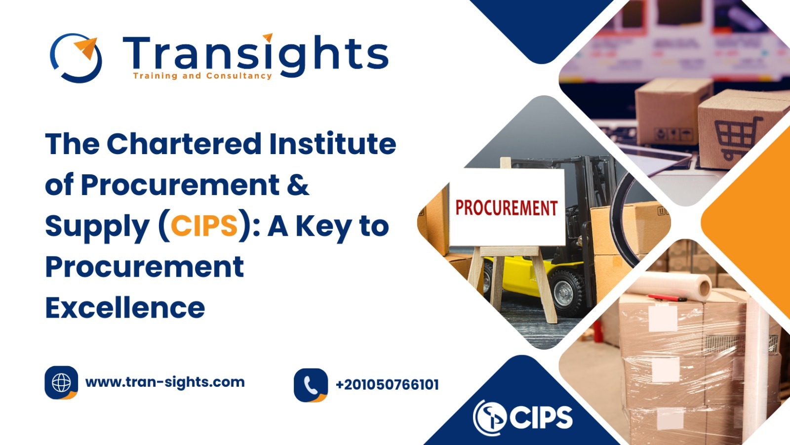 The Chartered Institute of Procurement & Supply (CIPS): A Key to Procurement Excellence | Transights